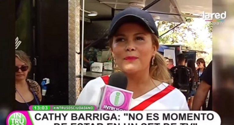 Gato llevaba una doble vida: tenía dos casas, dos nombres y dos dueños