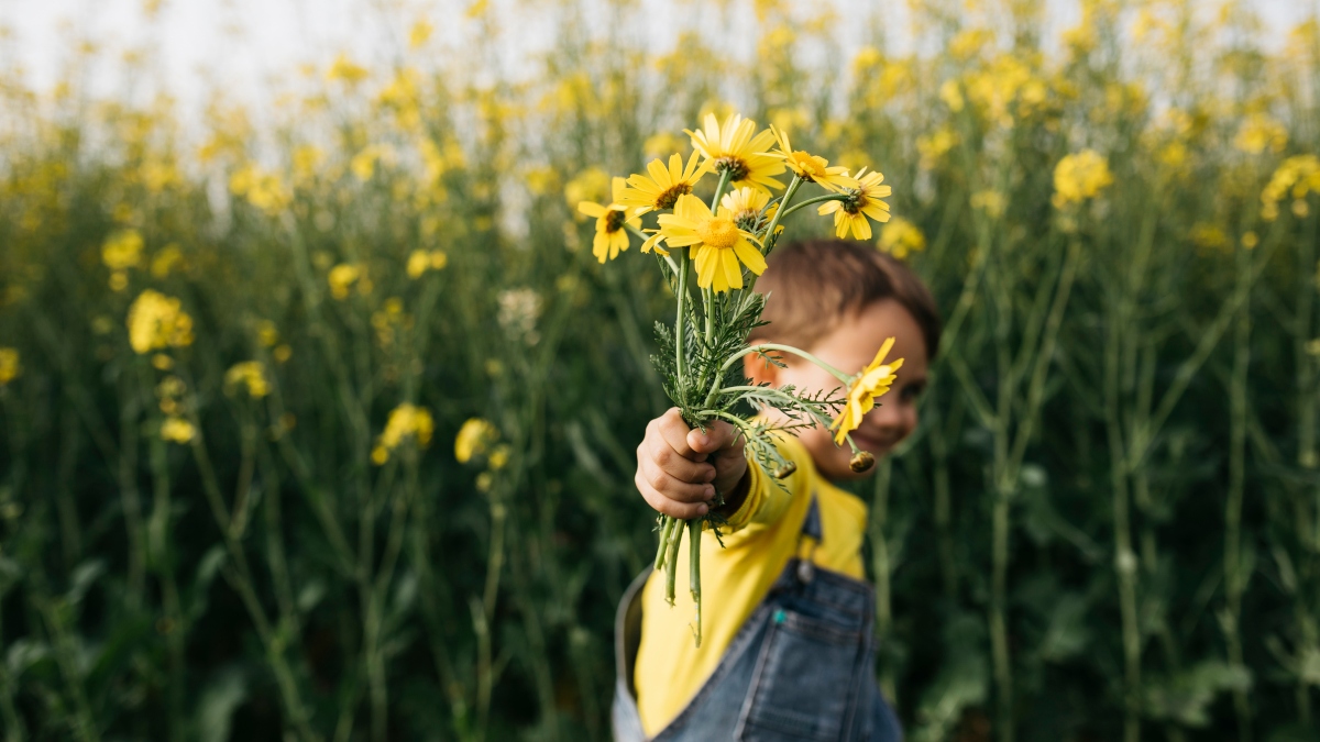 ¿Cuándo parte la primavera? Revisa a qué hora es la nueva estación ...