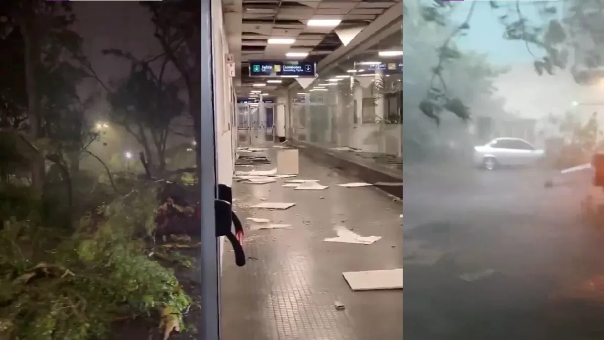 Impacto por fuerte temporal de viento en Argentina: Dejó 13 muertos y ...