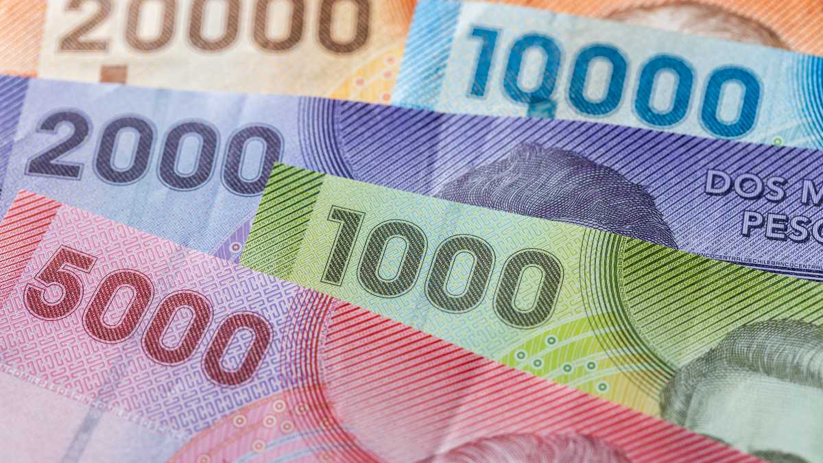 Bonos para cesantes 2024: consulta con tu RUT los beneficios que puedes ...