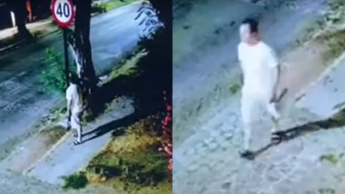 Quién es Juan Carlos Aramayo, el pistolero de La Reina y por qué fue ...