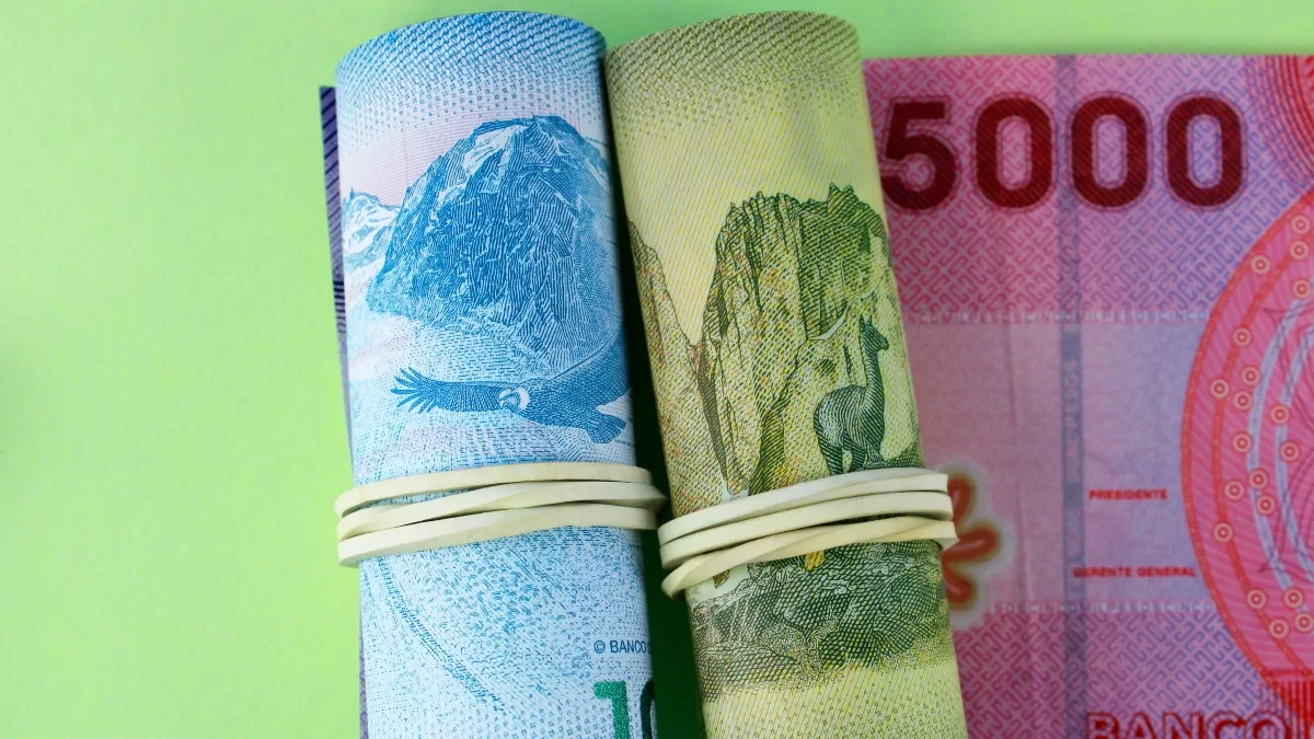 Bonos para cesantes 2024: ¡Descubre AQUÍ cómo cobrar estos beneficios y ...