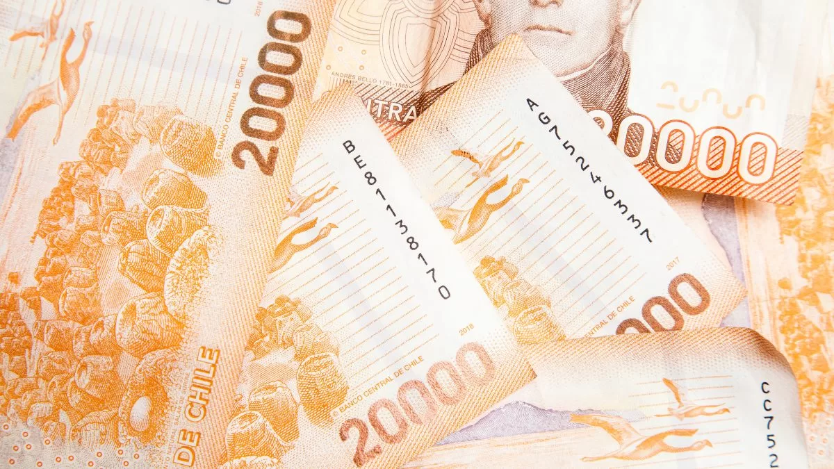 Bonos para cesantes 2024: ¡Descubre AQUÍ cómo cobrar estos beneficios y ...