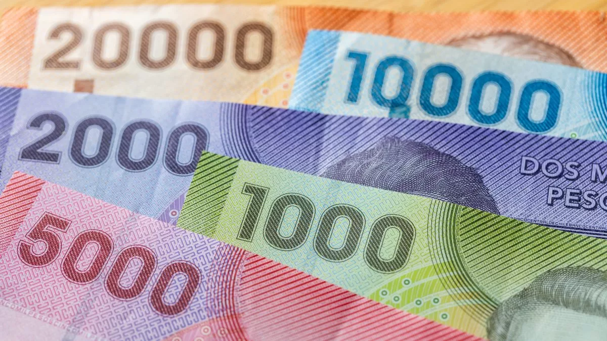 Bonos para cesantes 2024: ¡Descubre AQUÍ cómo cobrar estos beneficios y ...